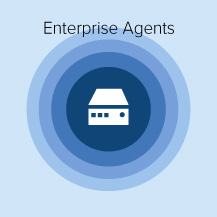 Enterpriseエージェントの設定方法（インストール完了後）