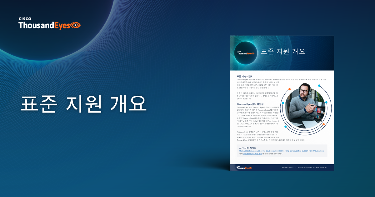 표준 지원 개요