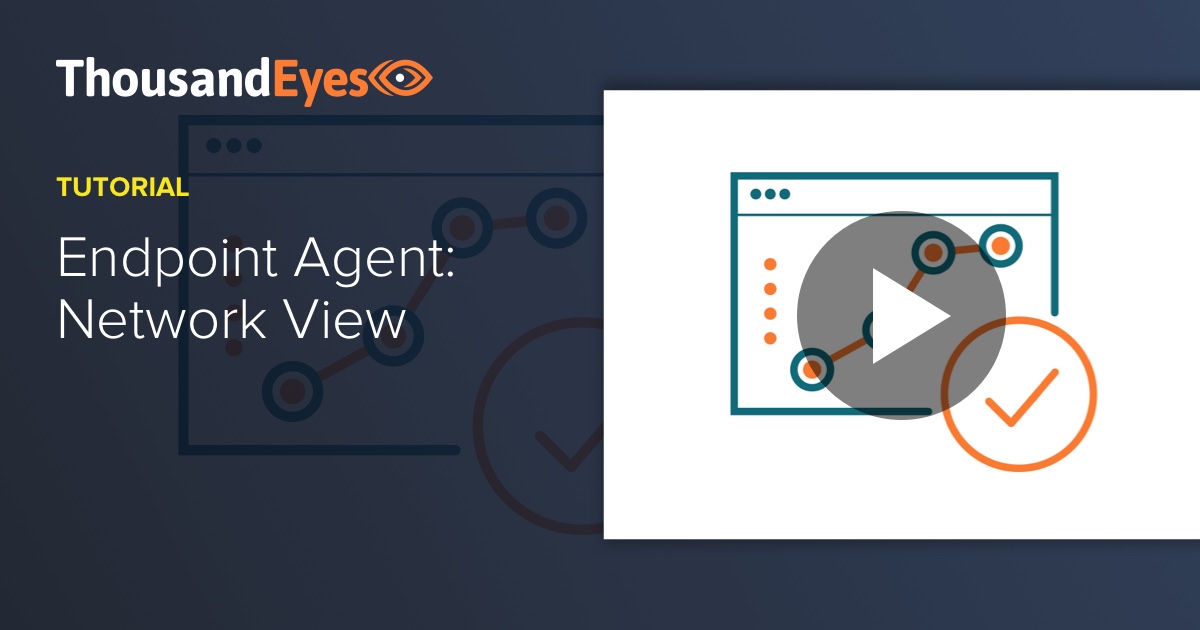 Endpoint Agent: Network View | ThousandEyes
